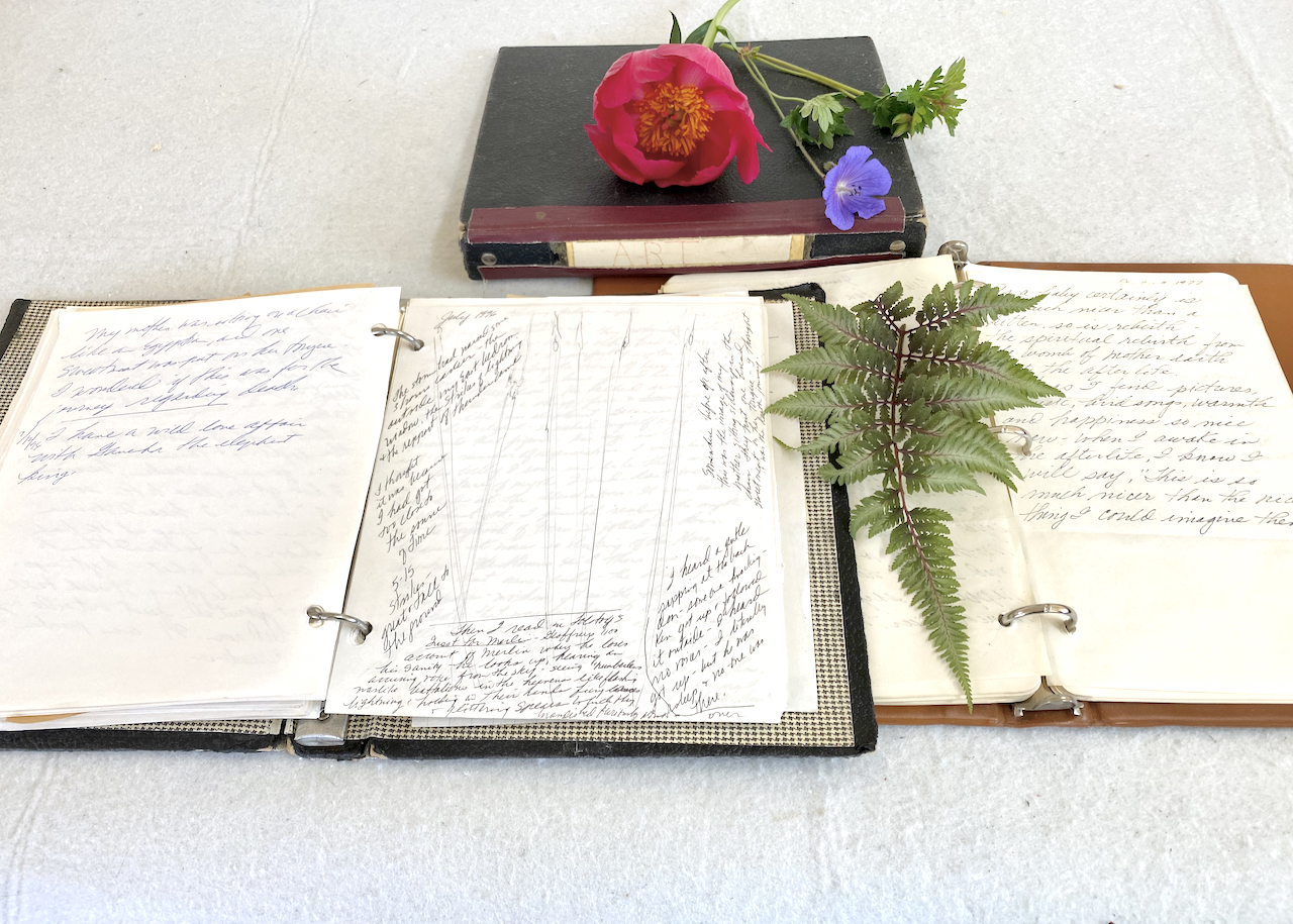 Journals, Sketchbooks: Find Signs to Hope - Marilyn Wells Art Journal